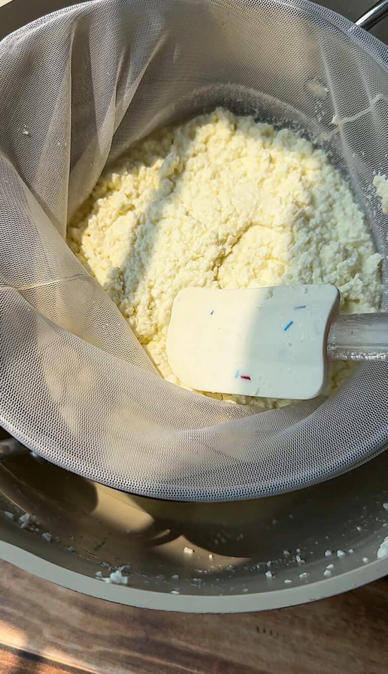 Homemade Cottage Cheese - The Modern Nonna